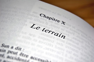 Cathy Borie Auteure: Journal d'une grossesse littéraire, chapitre 12 ...