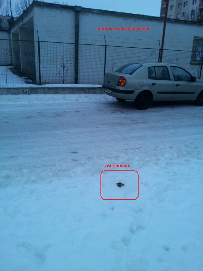 TRNAVA - fotky a texty zo života v tomto meste: Psie hovná pred ...