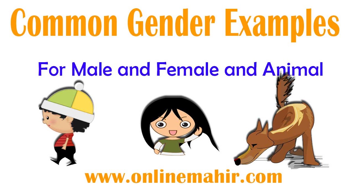100 Examples of Common Gender in Sentences and List ~ English Language ...