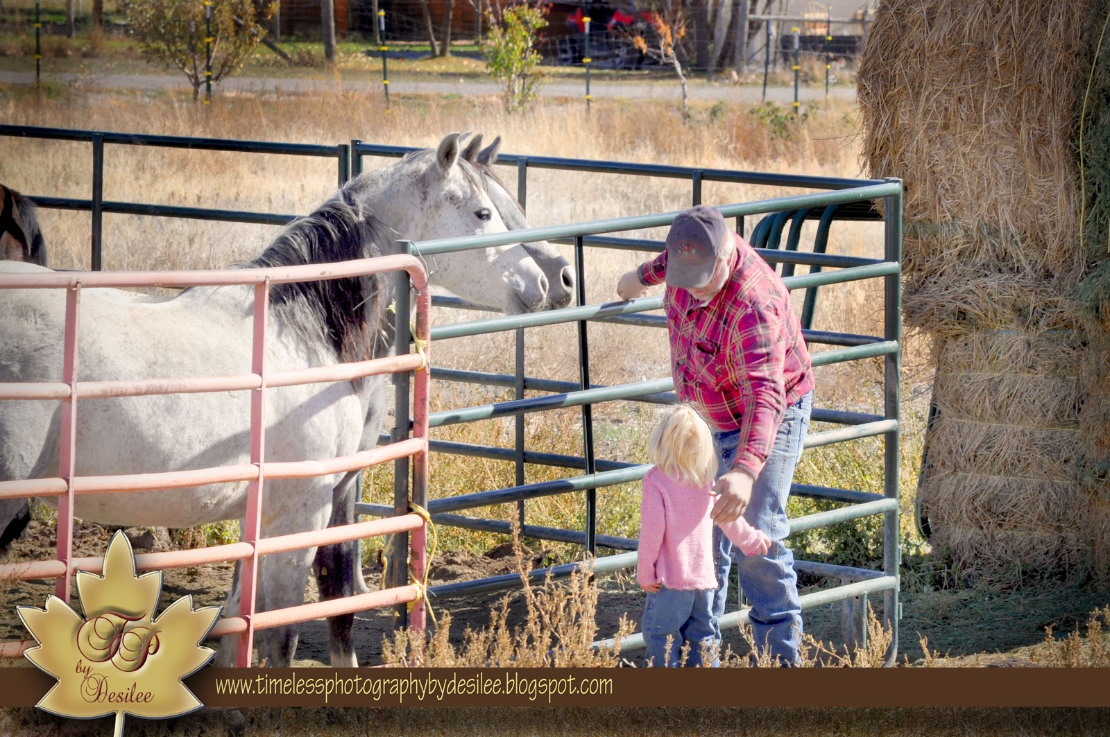 Timeless Photography By Desilee