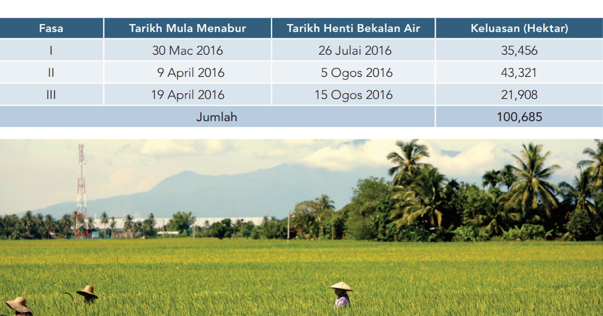Dr Mat: Need detail studies on the water supply for paddy irrigation ...
