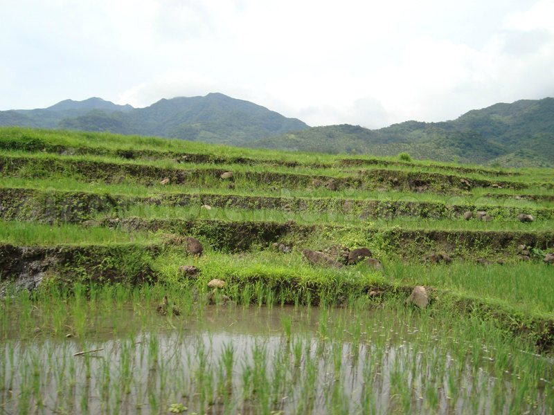 Biliran - Iyusan Rice Terraces and Mainit Hot Spring | Blogs, Travel ...