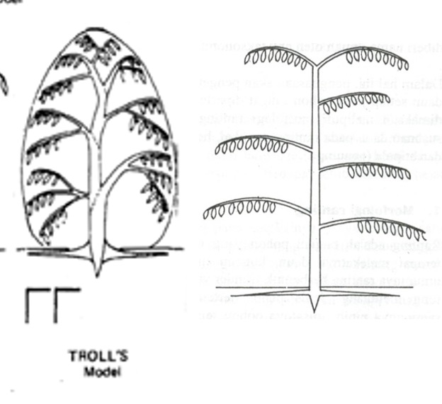 Model Arsitektur Pohon | LULUKADA