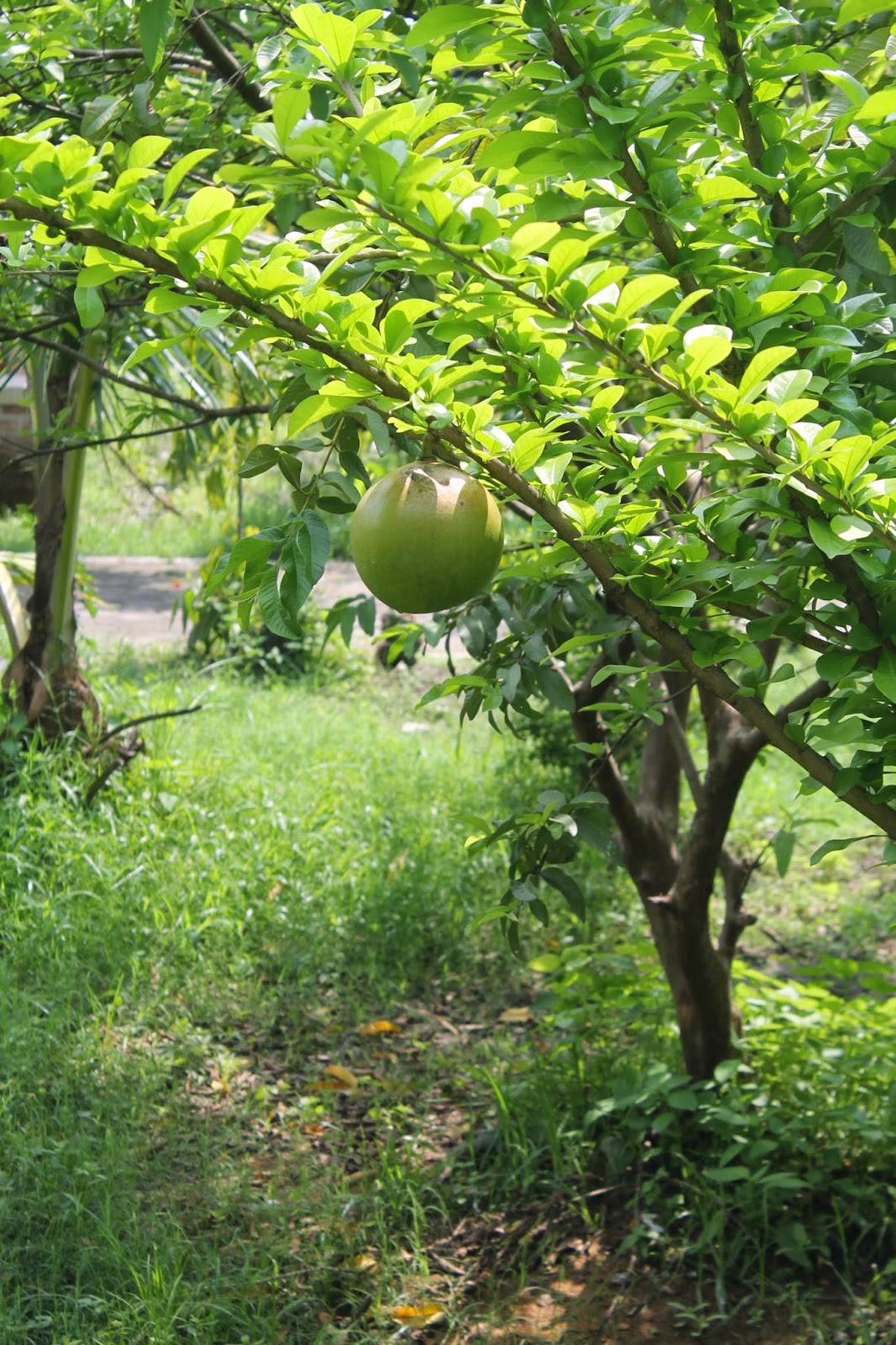 Akademi Pariwisata Majapahit’ – Mojokerto ~ Culinary News Update