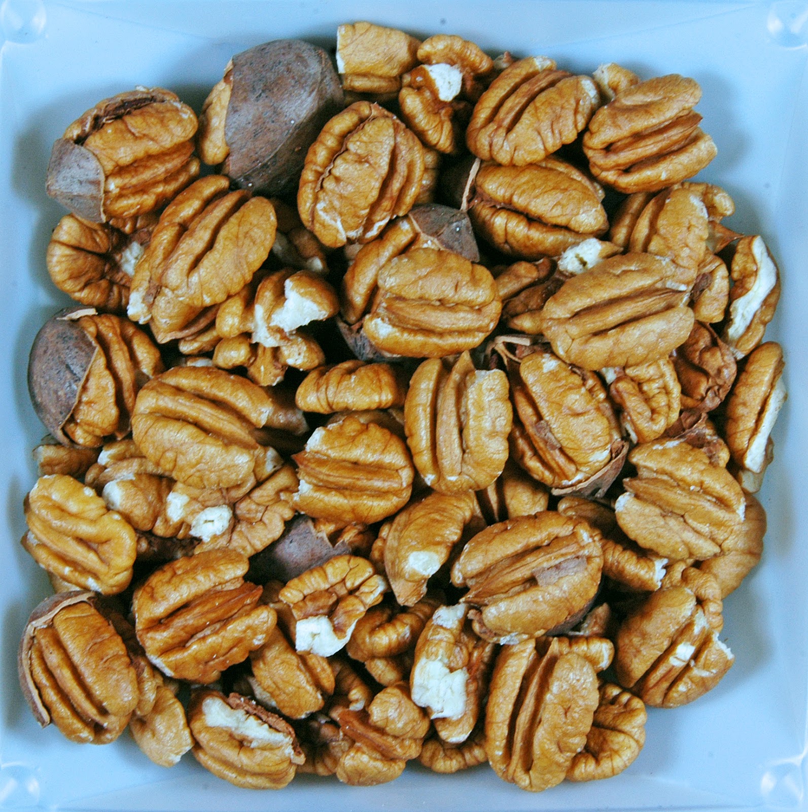 Northern Pecans: December 2017