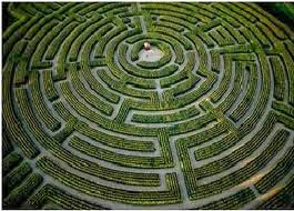 Teoría General De Sistemas: EQUIFINALIDAD