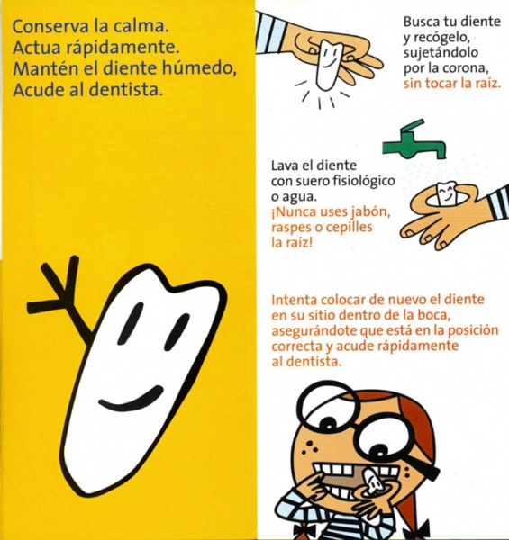 Nuestro esqueleto: Cabeza y cuello: Avulsión dentaria