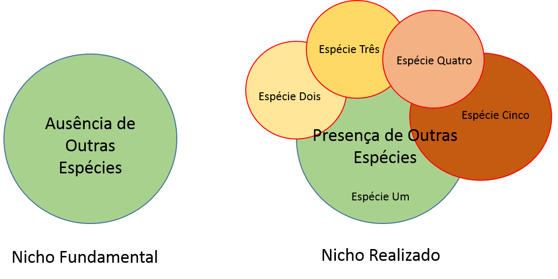 BLOGOLOGIA: Nicho Fundamental X Nicho Realizado.