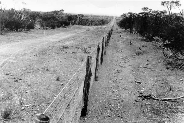 Billy Wardle History Nut: Story: Rabbit Proof Fence--Aboriginal People ...