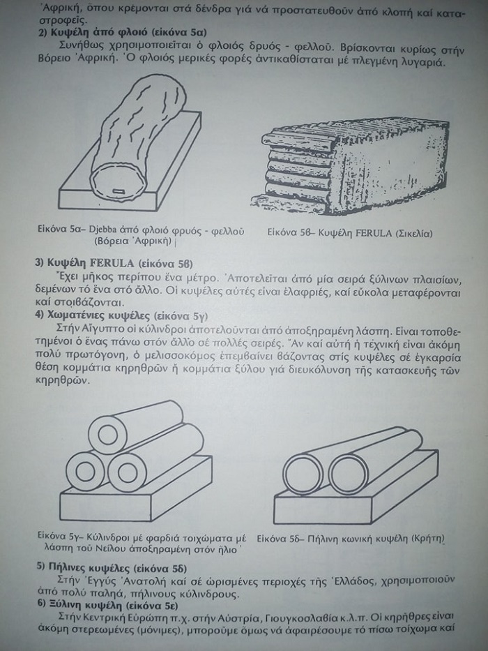 Η ιστορική εξέλιξη της κυψέλης: Σύμφωνα με τις εργασίες του Friedrich ...