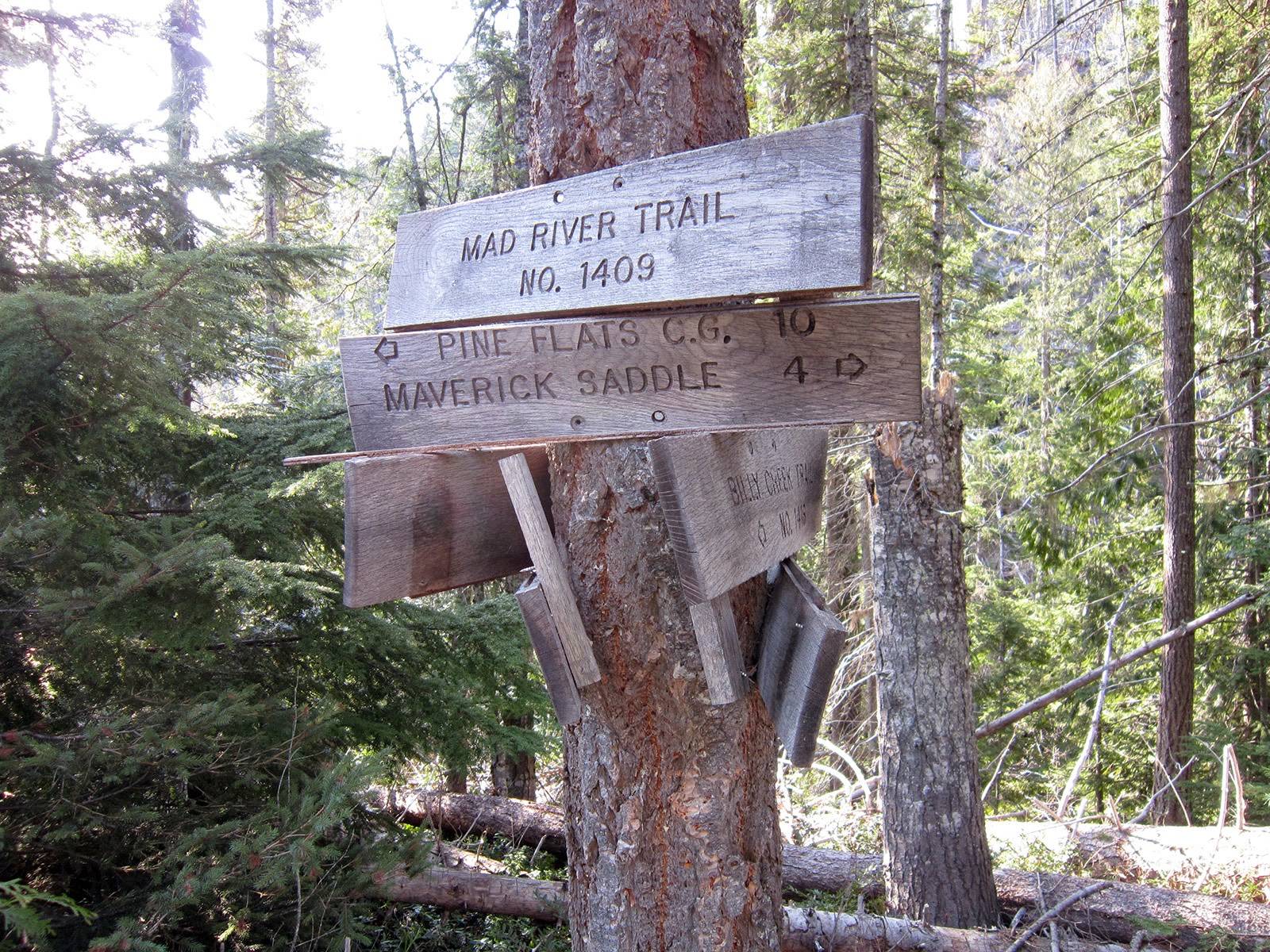 Seeking Ultra: Mad River-Sugarloaf Peak loop, southern Entiat Mountains