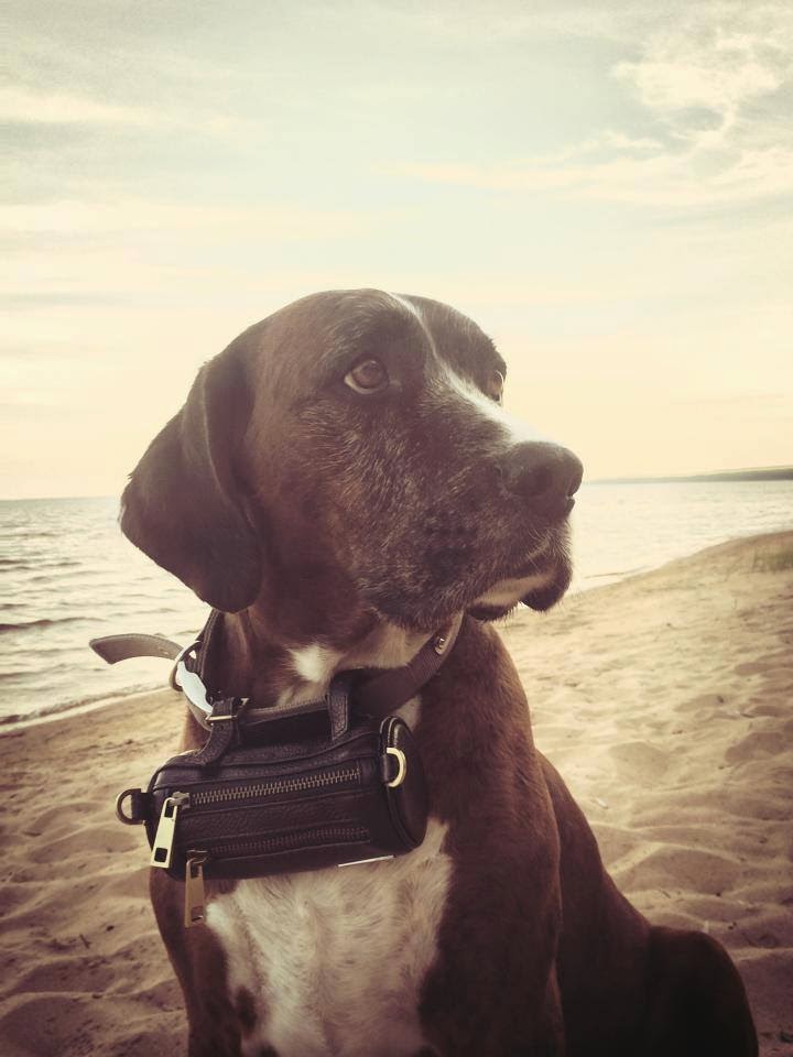 Anna-Sofia Ali-Sisto Fan Blog: Anna-Sofia Ali-Sisto and her dog for Merikh