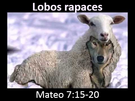 Analogía Fidei: Lobos rapaces o falsos profetas - Mateo 7:15-20