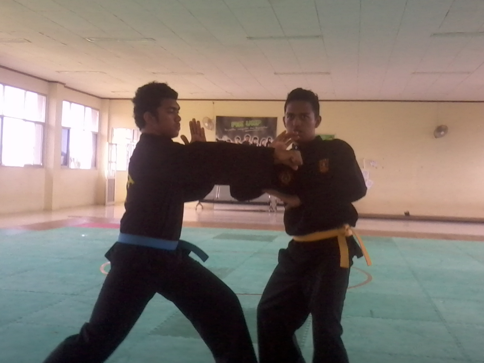 pencak silat: Tangkisan dan hindaran