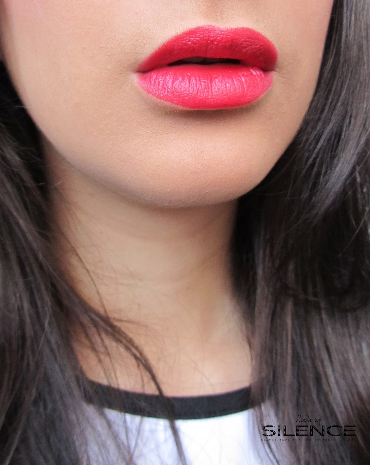 Silence Make up: Mis Labiales Mac