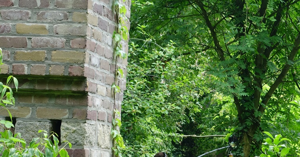 M U G G E N B E E T: sssttt opnames