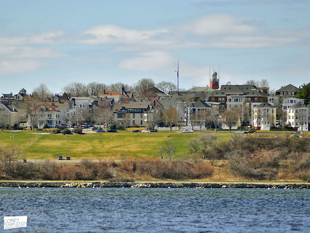 Corey Templeton Photography: Mackworth Island