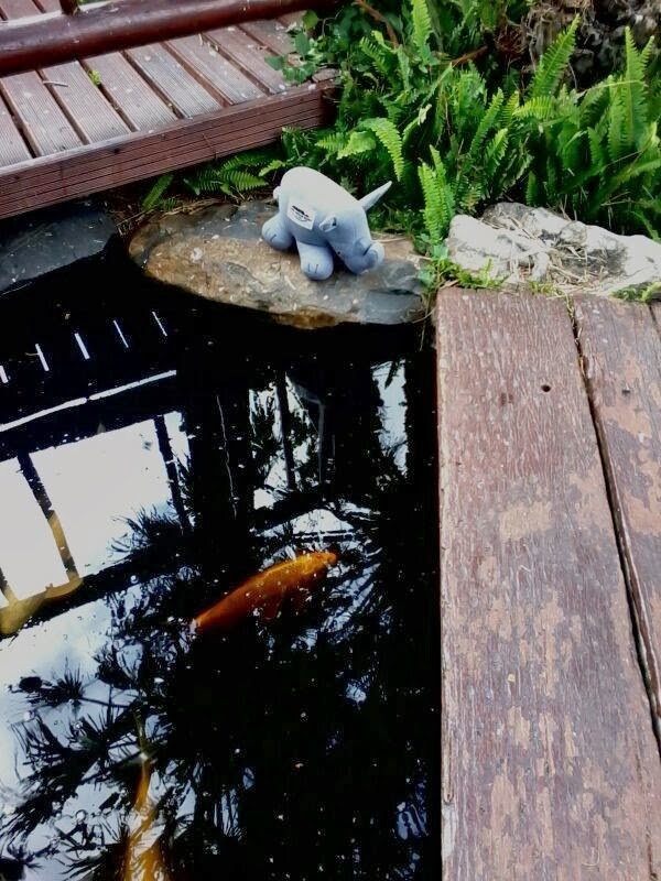 Umkhombe the Rhino: Centrestage