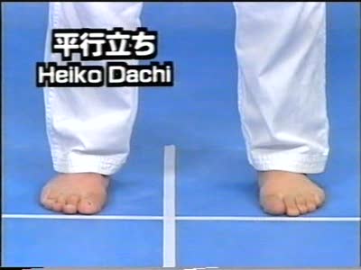 KYOKUSHINKAI KLUB "CRVENI ZMAJ"...........: DACHI – STAV ILI POLOŽAJ TELA