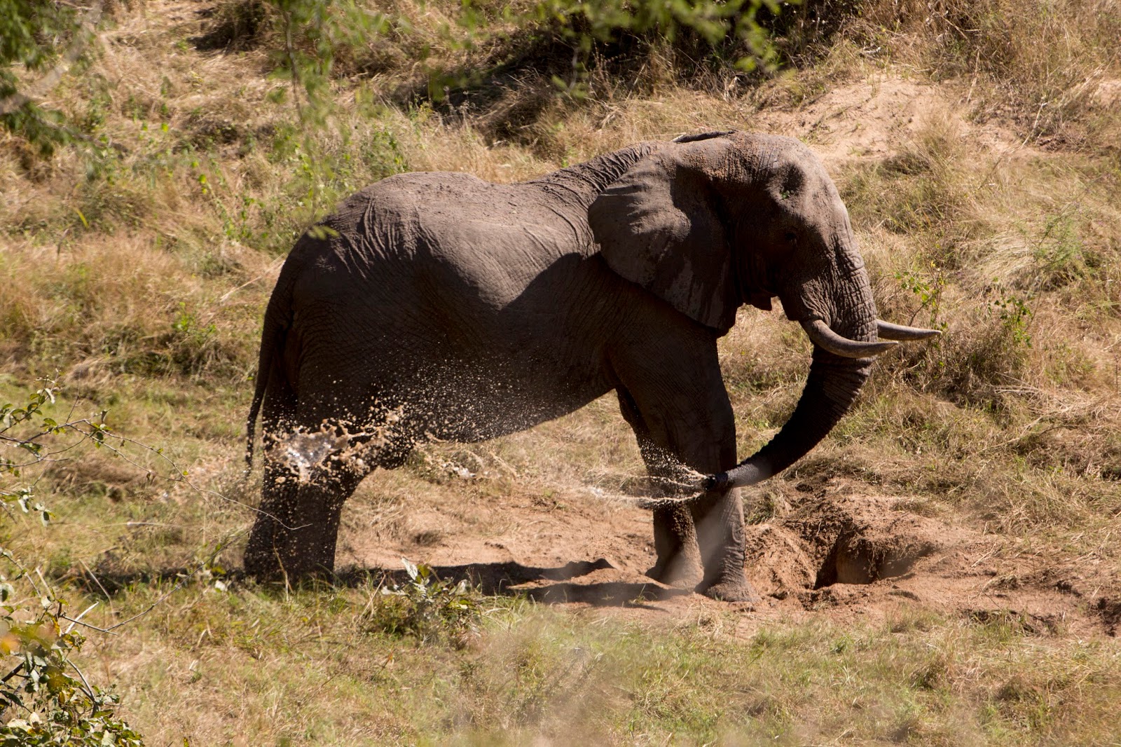 Travels with Craig and Jeri: Africa 2017- Day 17