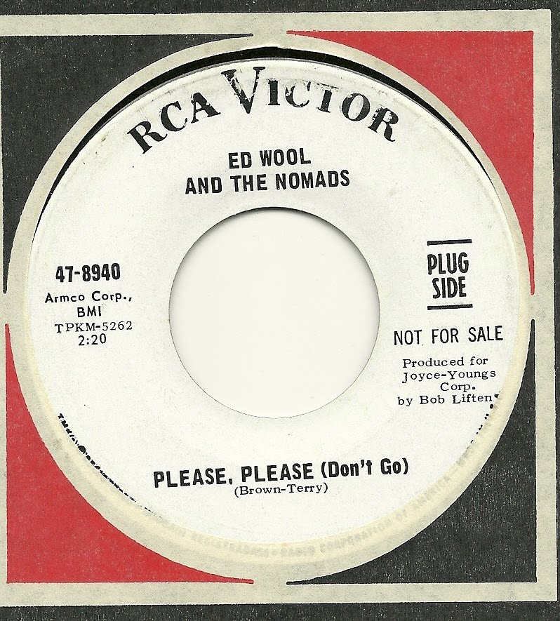 I Am the Noize In Your Head: Ed Wool And The Nomads -Please, Please ...