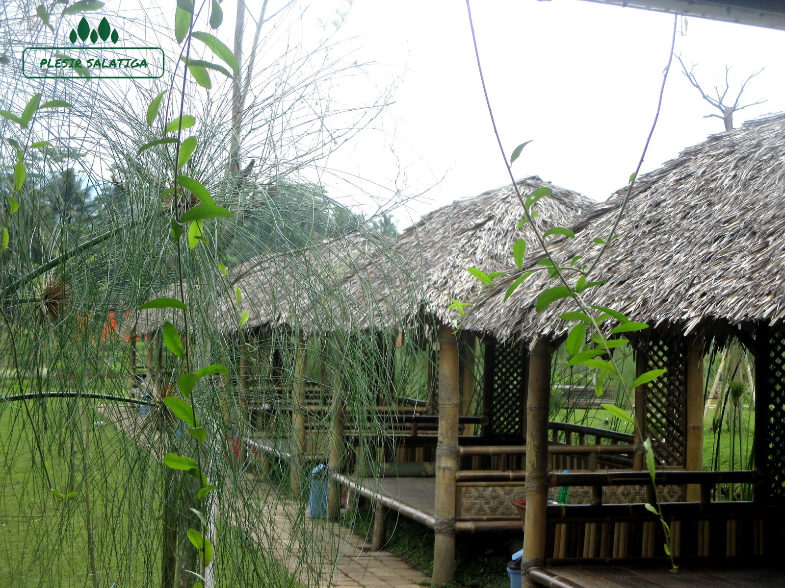 PLESIR SALATIGA: BANYUMILI