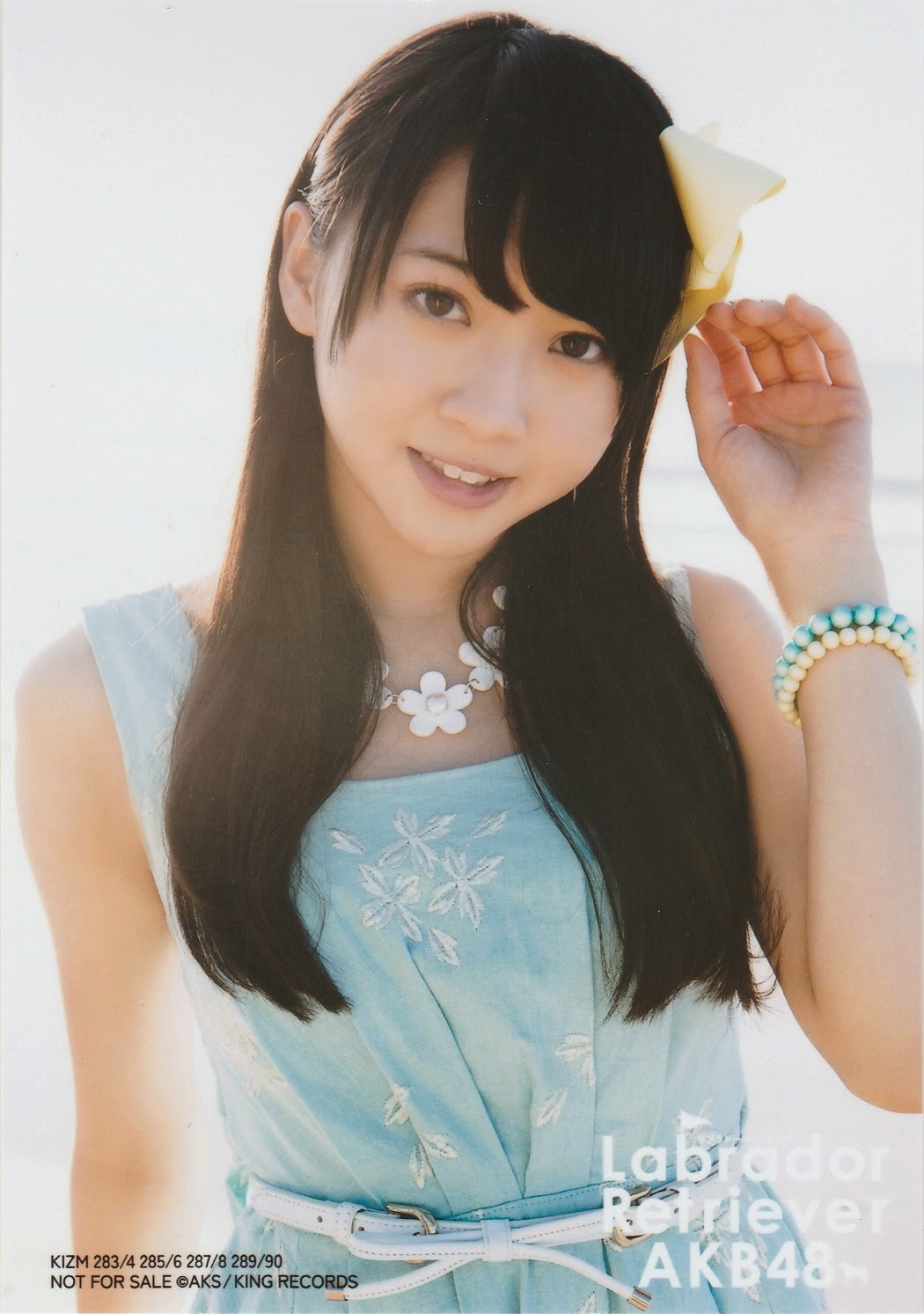 Photopack Kizaki Yuria [Labrador Retriever] - Dorahana Blog