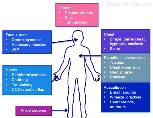 Central Cyanosis Vs Peripheral Cyanosis