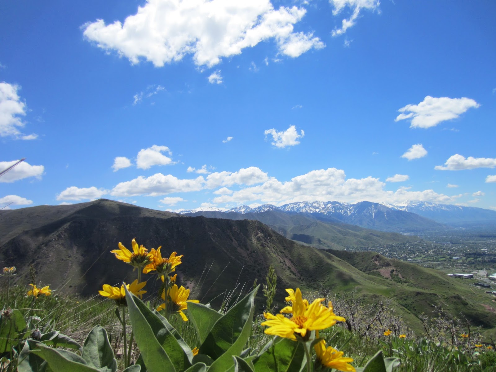 Wasatch Solo: Mt Van Cott, May 2016