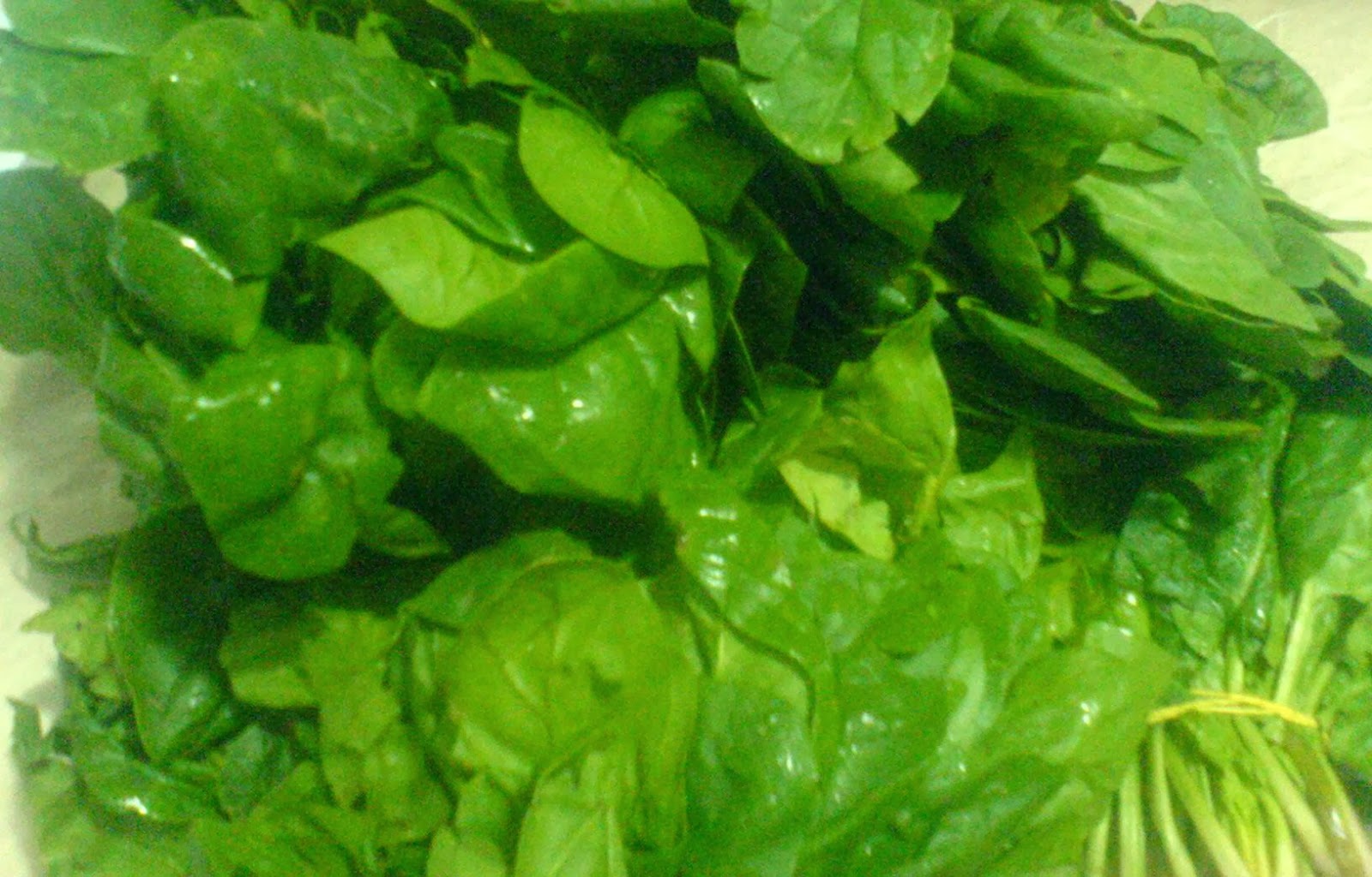 Piure de spanac | Preparatedevis.ro