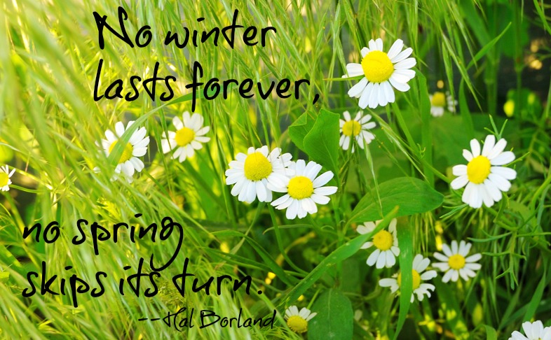 My New Happy: Motivational Monday XLIV