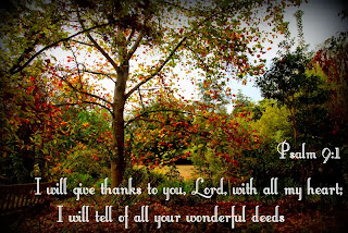 I will give thanks to you, Lord