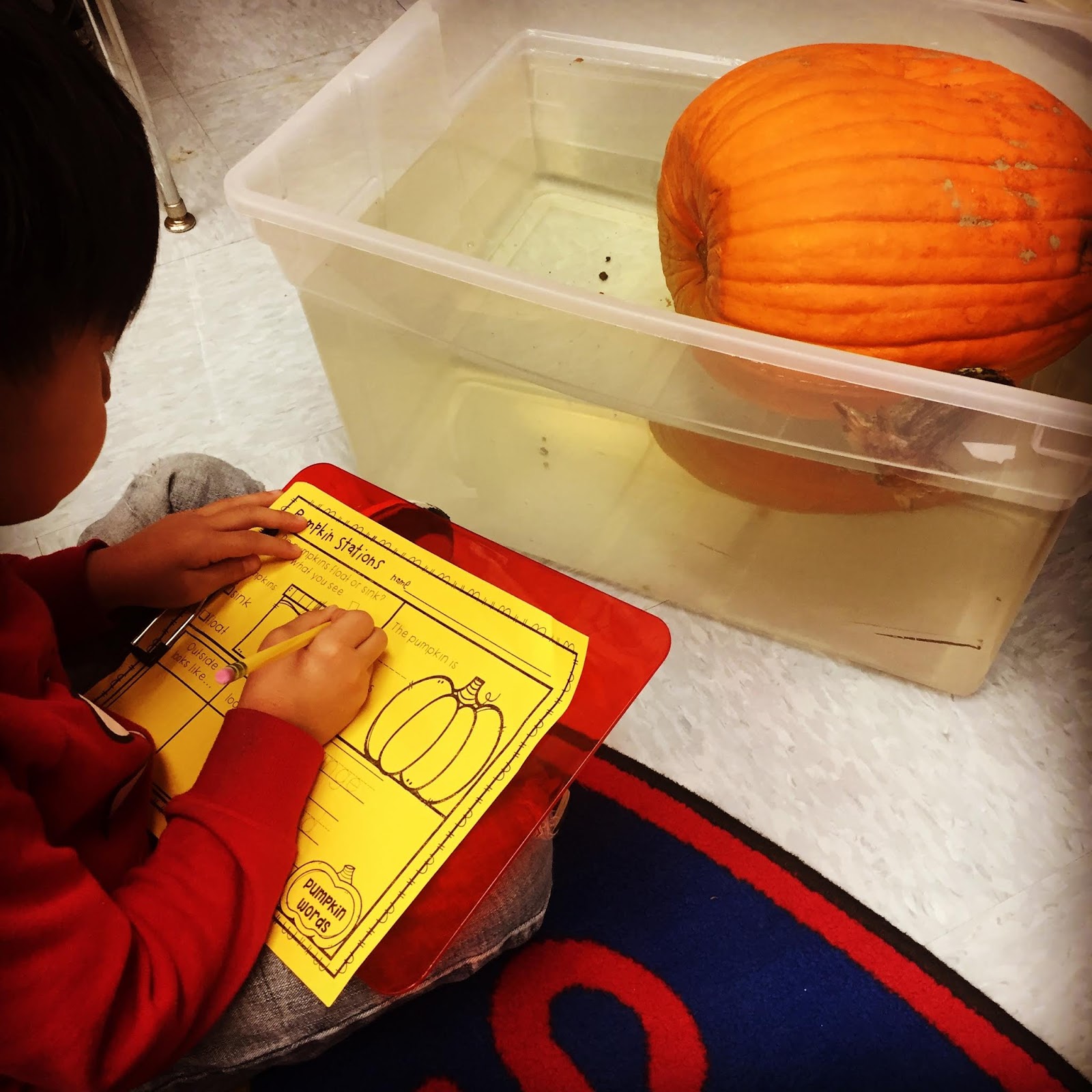 Learning With Pumpkins - The Science School Yard