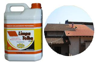TELHAS & PEDRAS: LIMPEZA DE TELHADOS