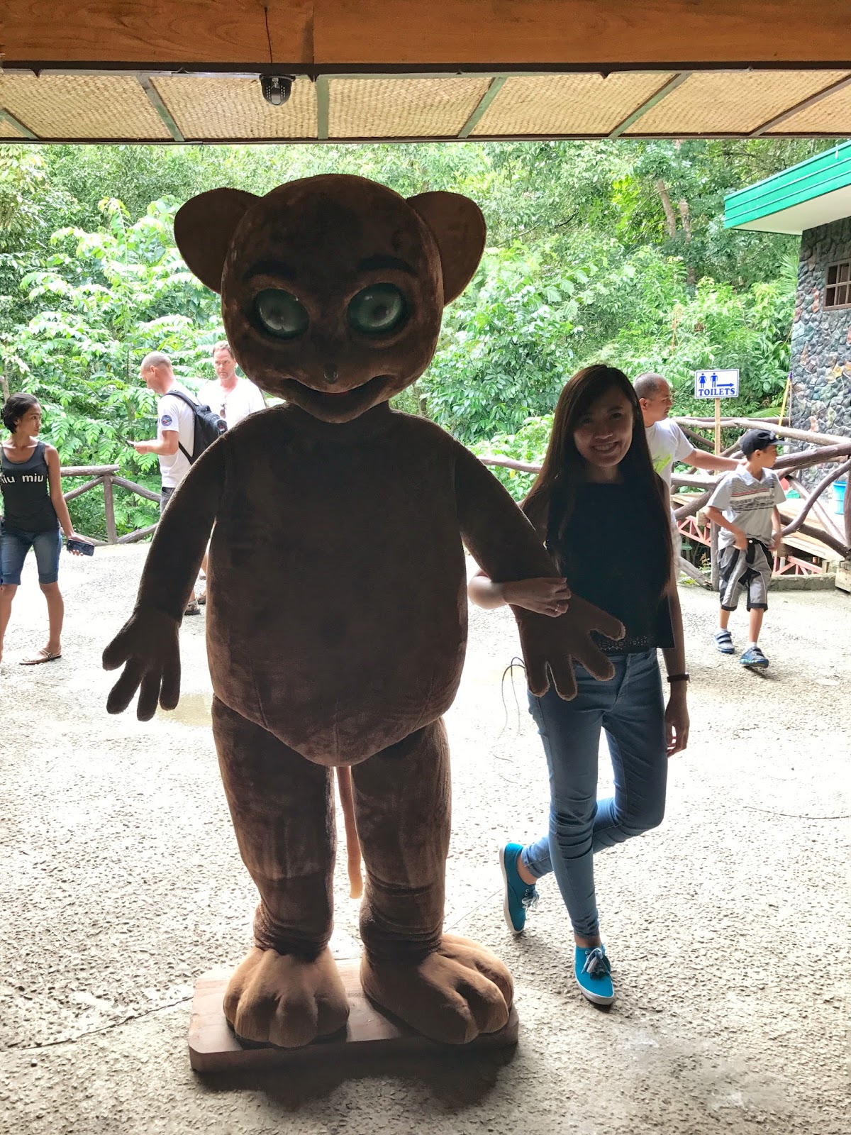 Best Tarsier (Loboc Tarsier Conservation Area) : r/Philippines