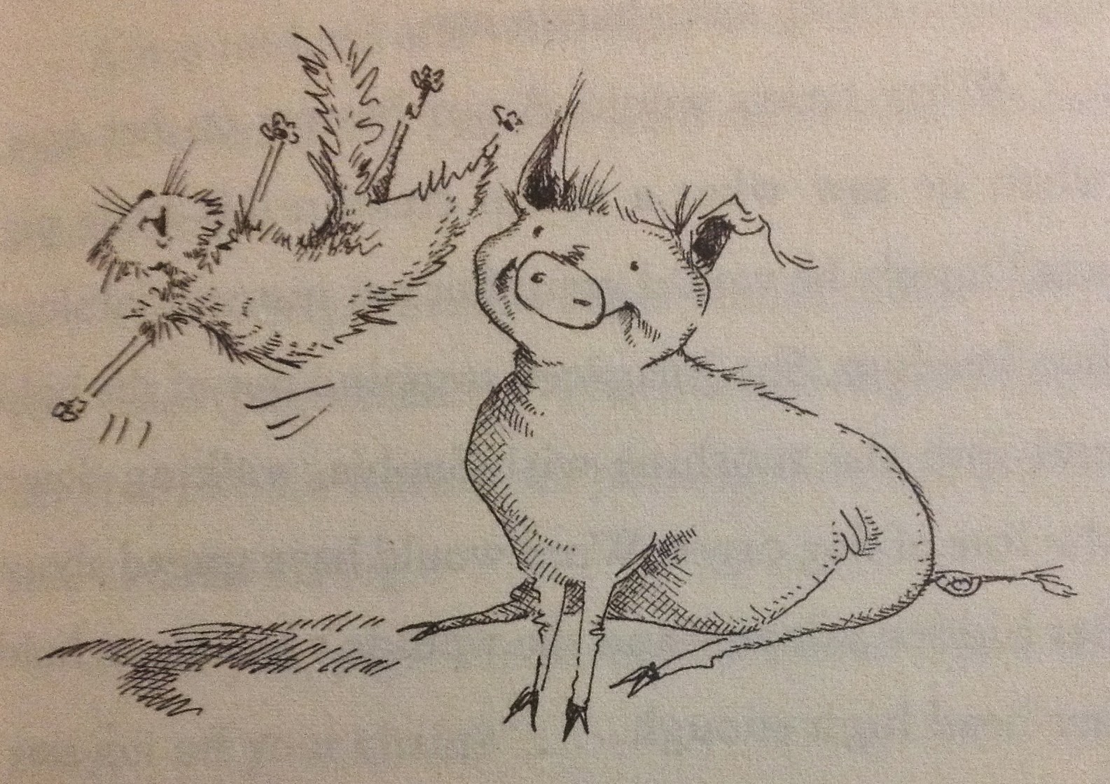 Auld School Librarian: The Adventures of a South Pole Pig Review