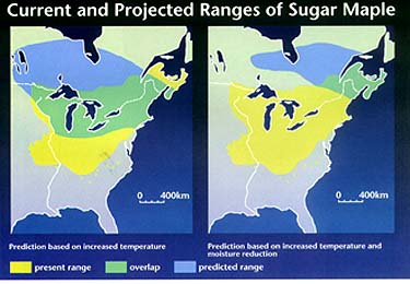 The Subversive Ecologist: Is the Use of Regionally Sourced Plant ...