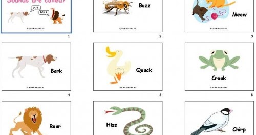 Pilar Syifa 12: animal sound