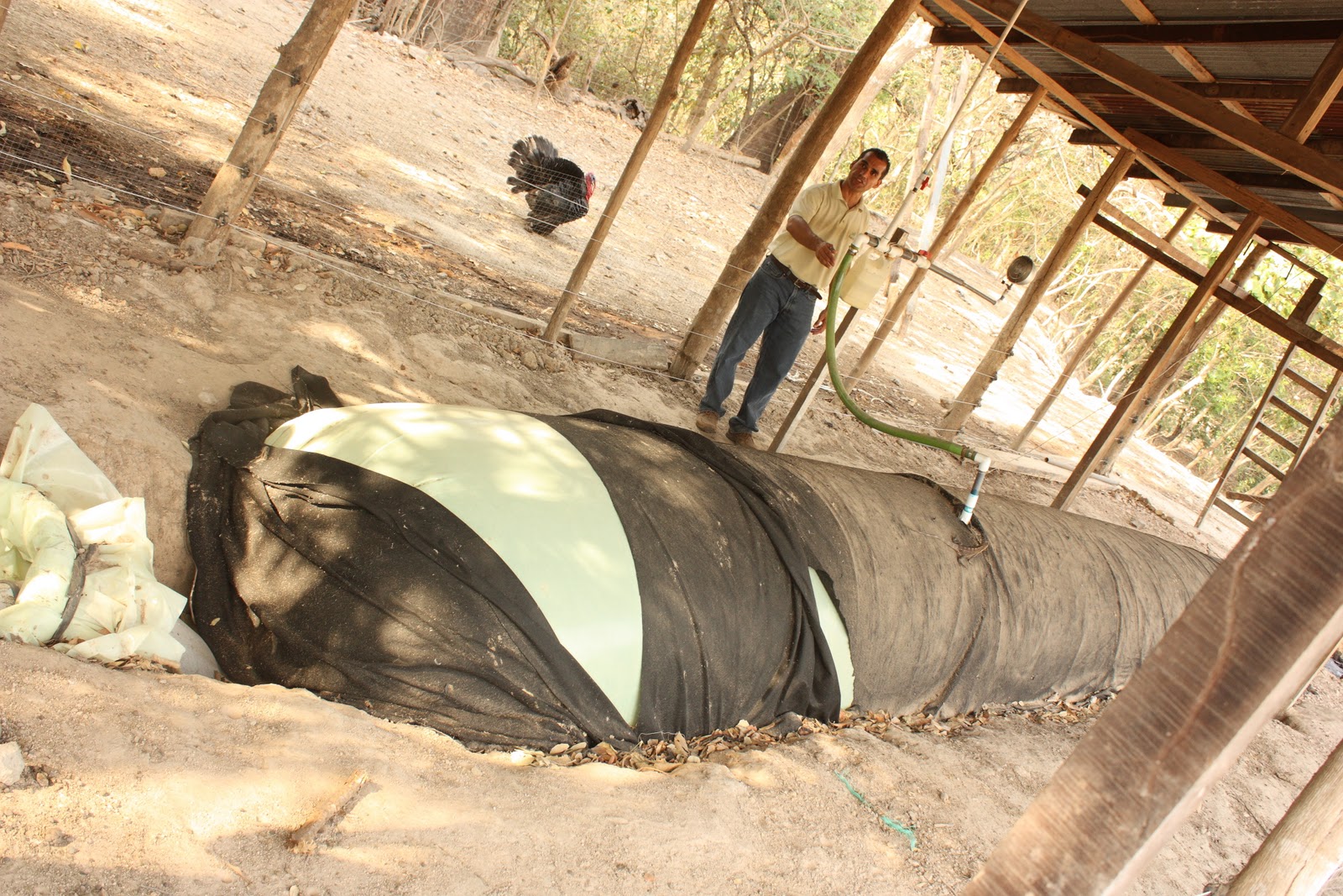Bio Gas Plant Photo Gallery ~ Biogas Plant (Anaerobic Digester) Blog