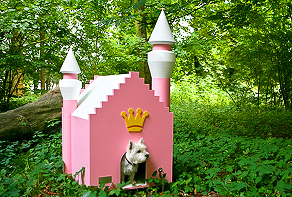 SEE the Most EXPENSIVE DOG Mansions in the World! | BOLD and UNUSUAL ...