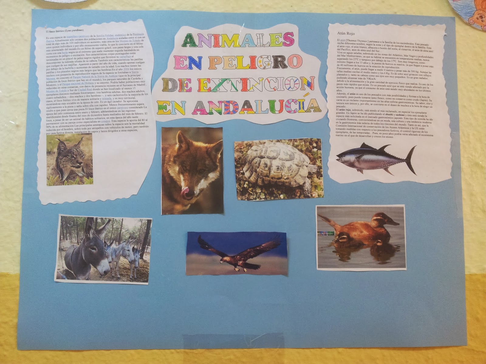 Blog de Tercero - CEIP Andalucía (Guillena): Murales sobre los animales ...