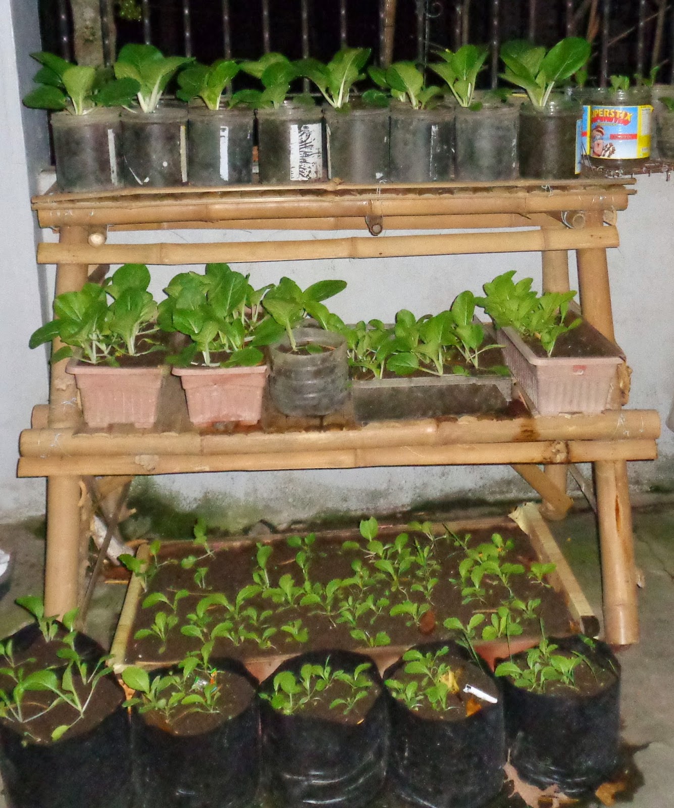 Simply Homebased Mom - The Practical Filipina: Gardening: Planting ...