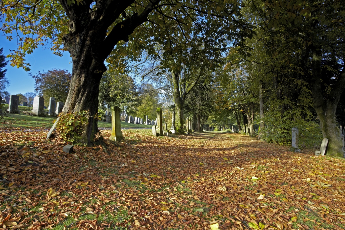 Dougie Coull Photography: Autumn Colour - Greenock Cemetery