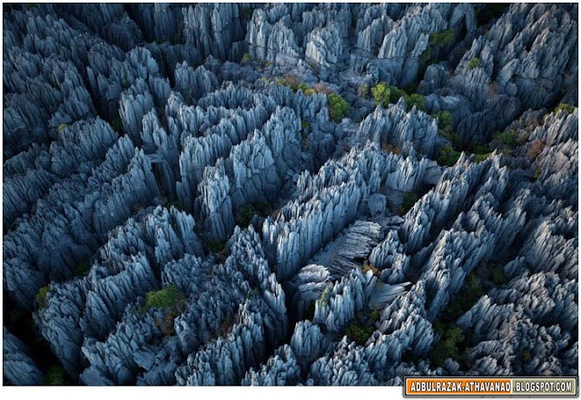 INFO WORLD: Tsingy - Madagascar Stone Forest Photos