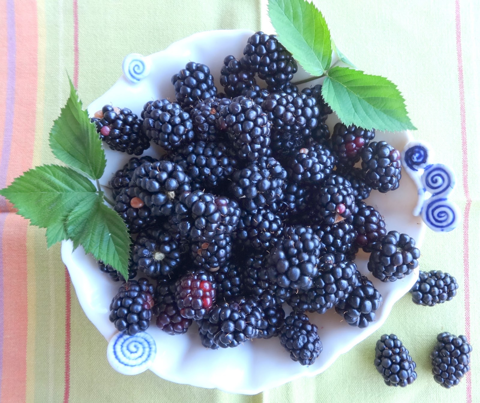 lep dan: Robidova pita