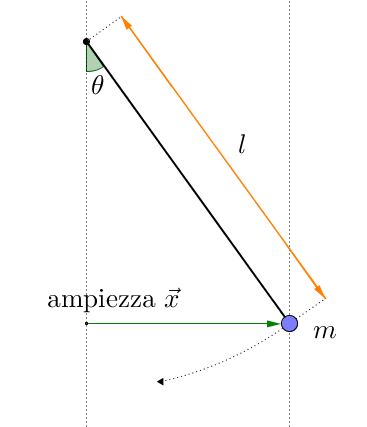 Corso di Fisica : Principi della dinamica - 2BLS
