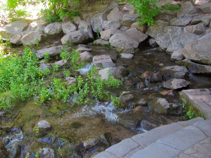 Life on the Open Road: I Love Weed!