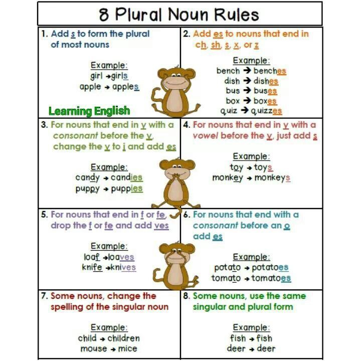 BILINGUAL BRETONIANS ESO 1 PLURAL NOUN RULES