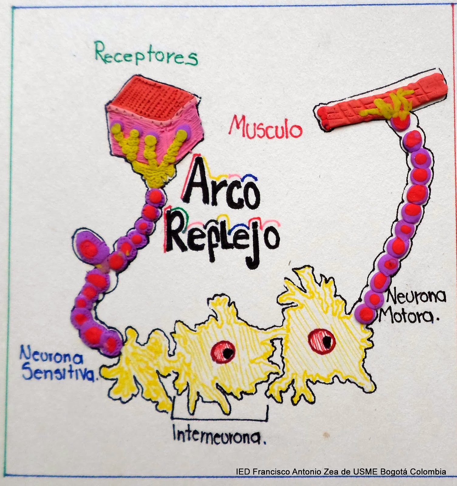 IDEAS PARA MI MUNDO: Arco reflejo.