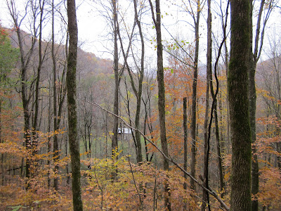 Adventures in post-transplantation fitness: Solo Backpacking Trip ...